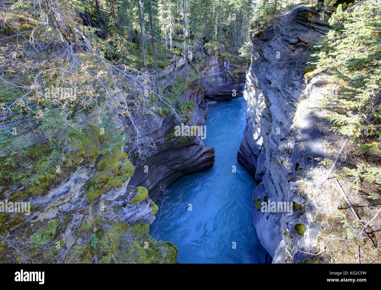 the athabasca river flows through a gorge and cave at Jasper National ...