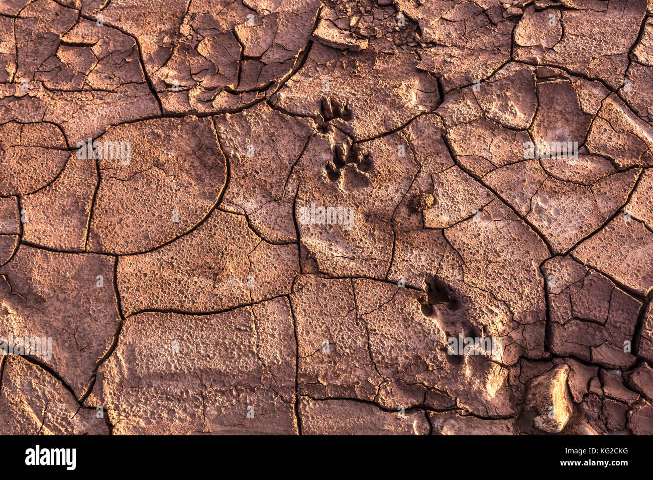 Earth dried and broken in strong sun Stock Photo - Alamy