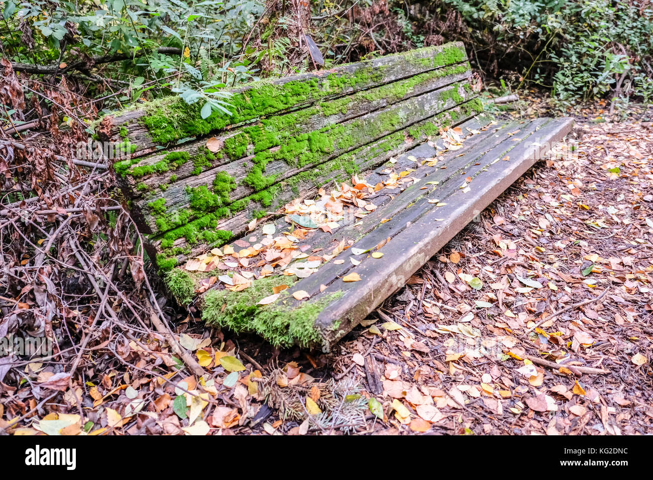Rotten wooden bench hi-res stock photography and images - Alamy