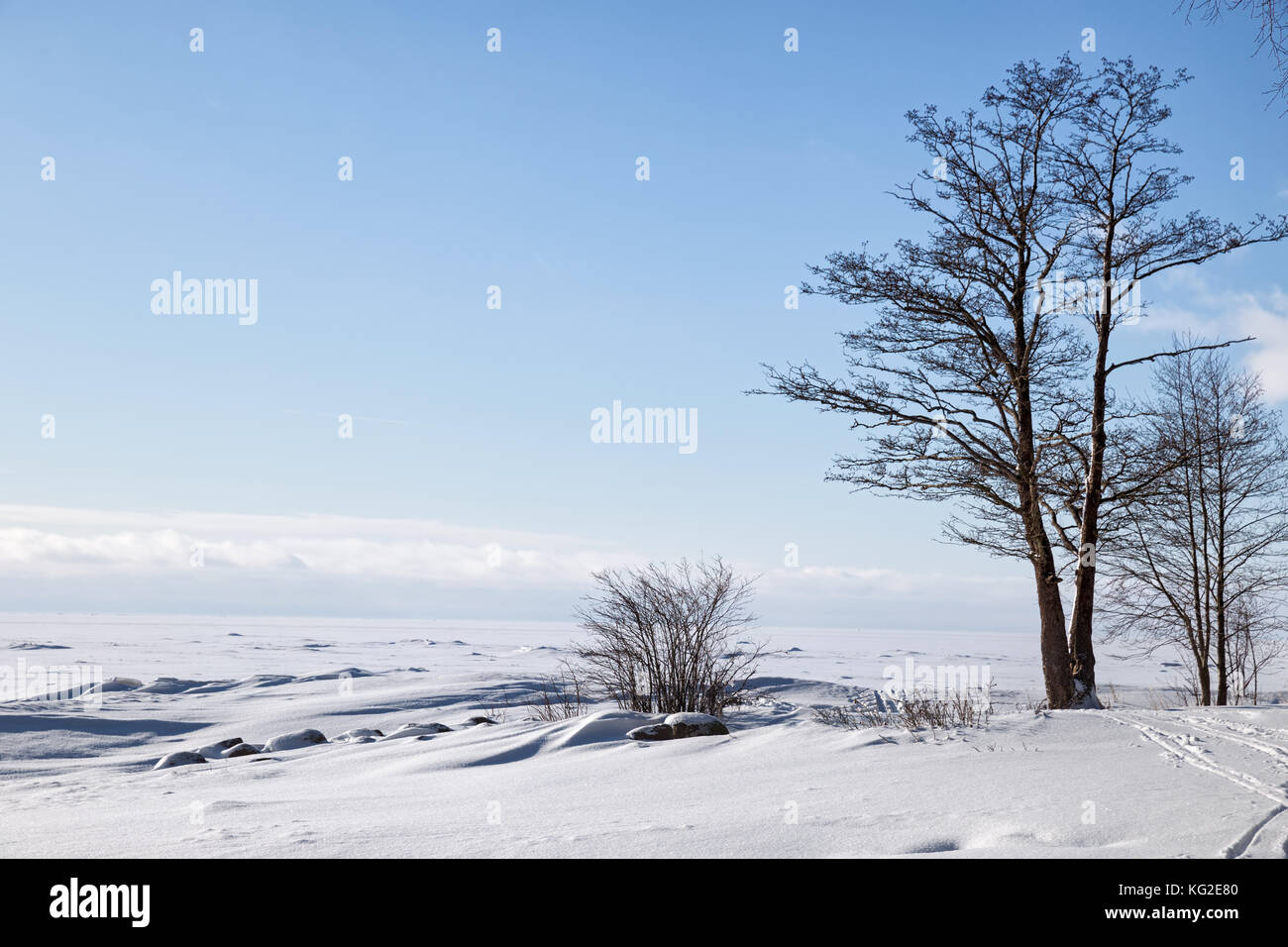Gulf finland on sunny hi-res stock photography and images - Alamy