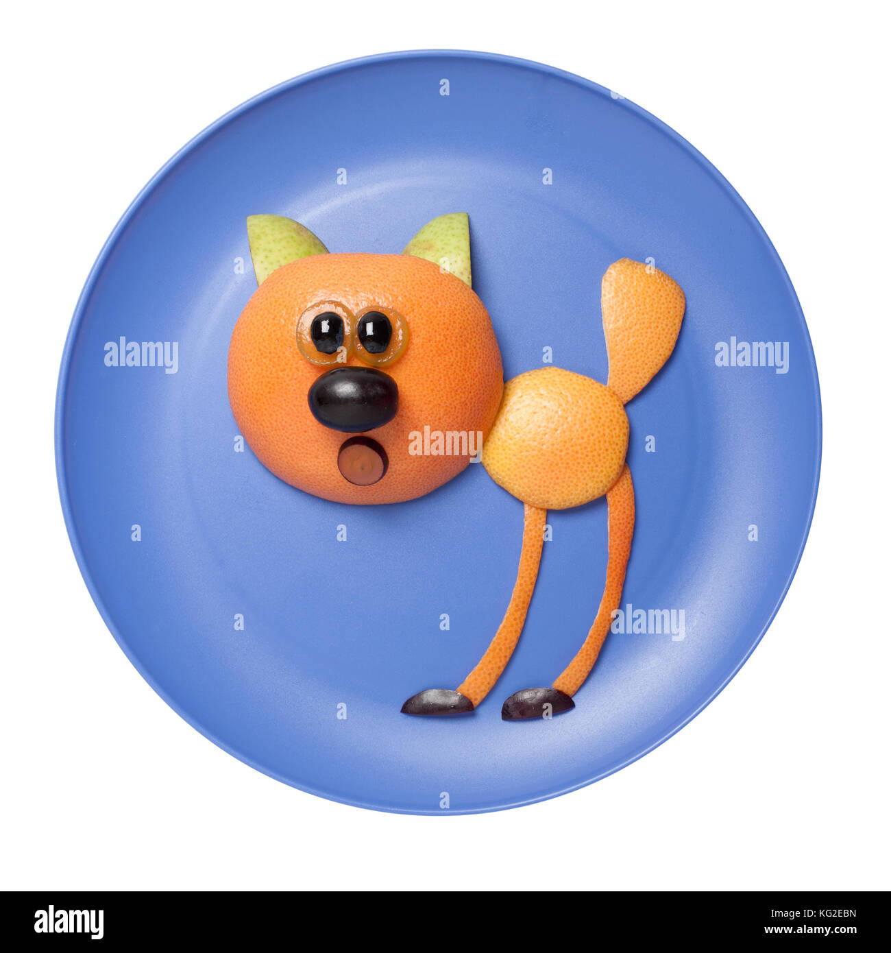 Cat and fruit hi-res stock photography and images - Alamy