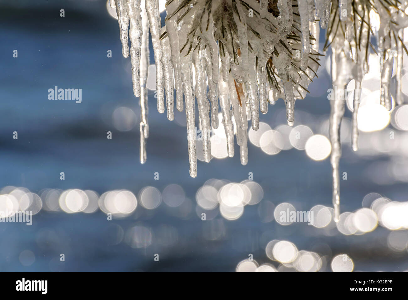 Beautiful patterns of icicles of different shapes and sizes on a branch ...