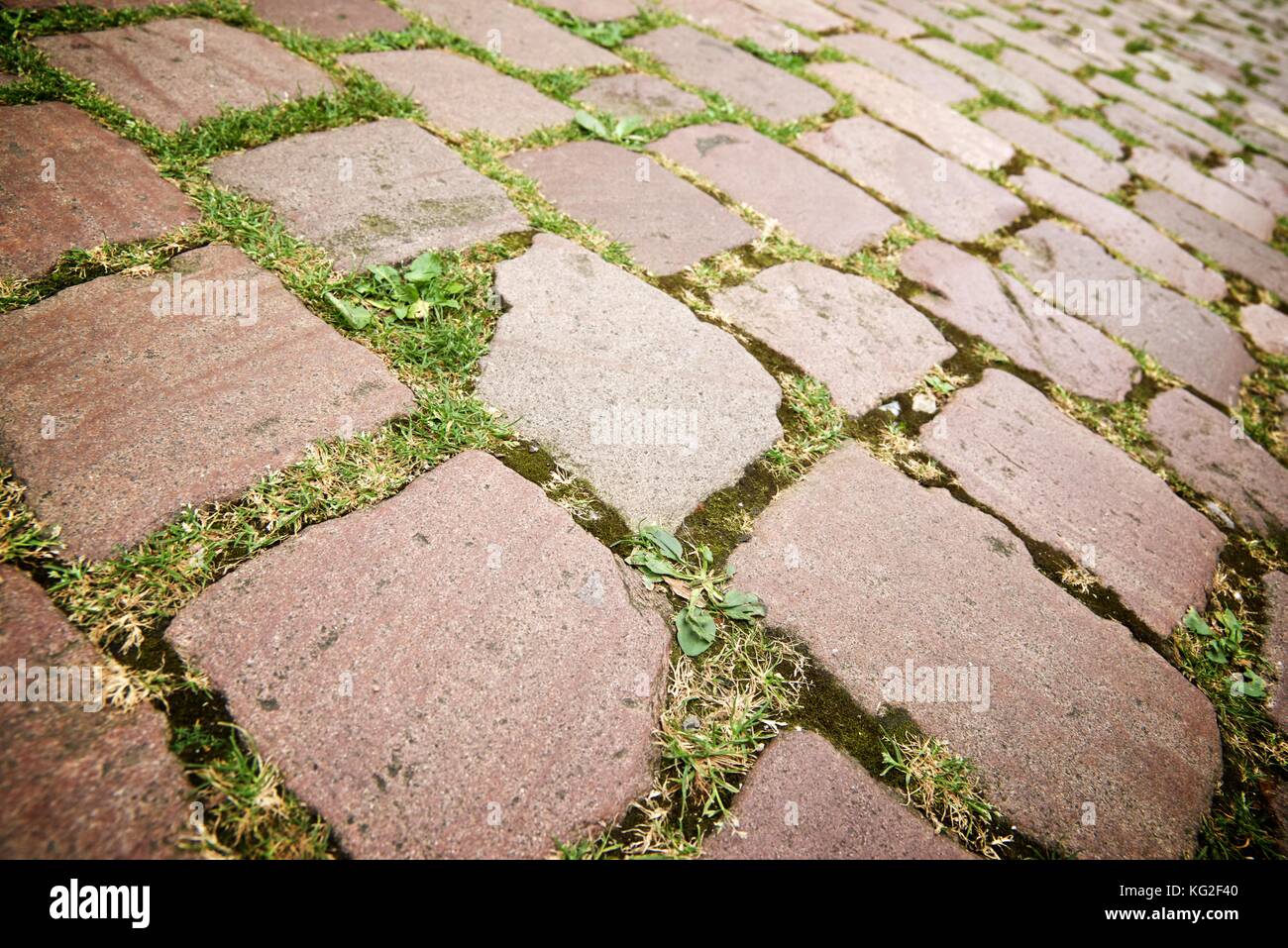 Floor of a street with stone tiles Stock Photo - Alamy