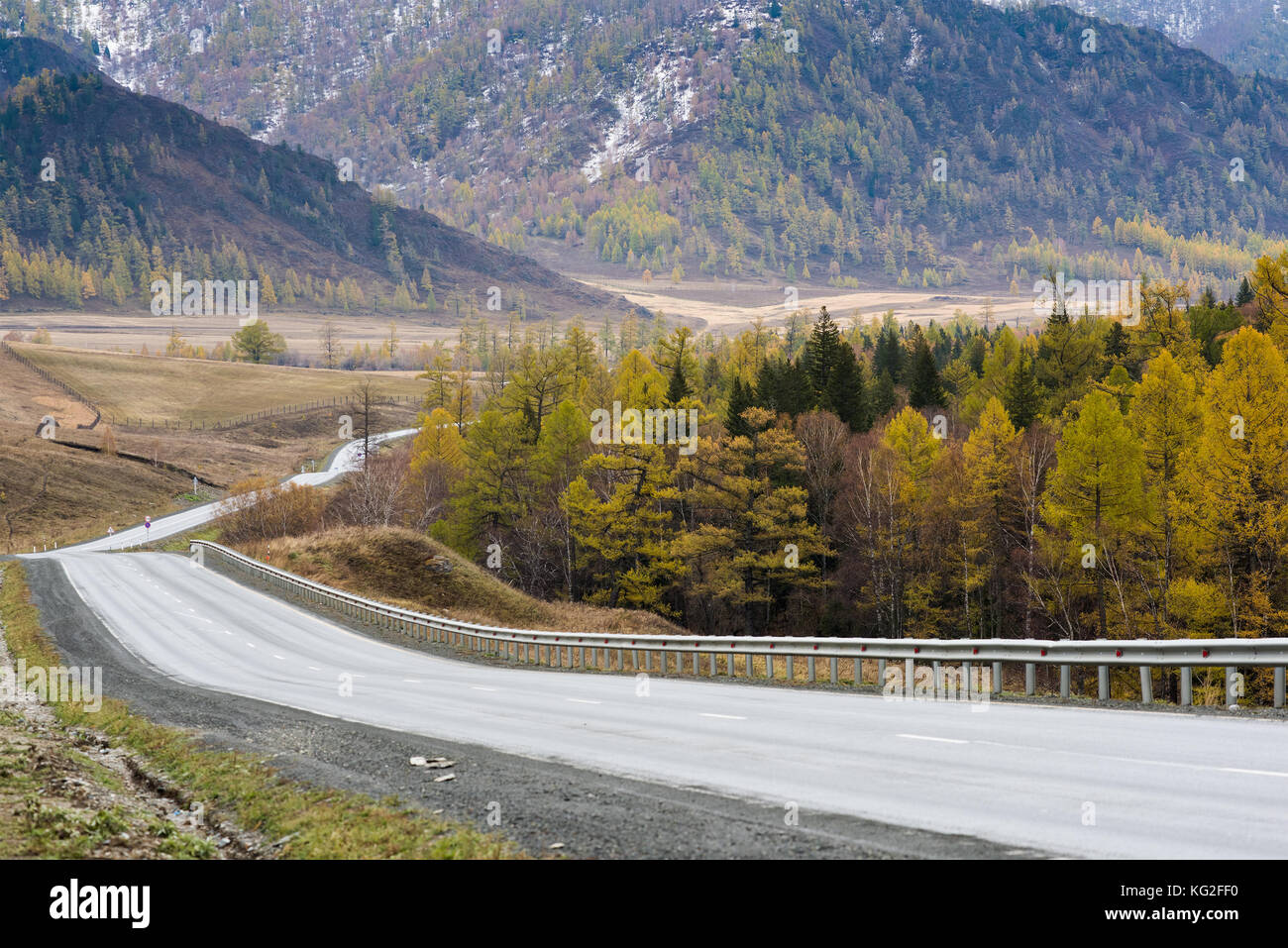 Federal highway M-52 Chuysky tract, asphalt road with markings among ...