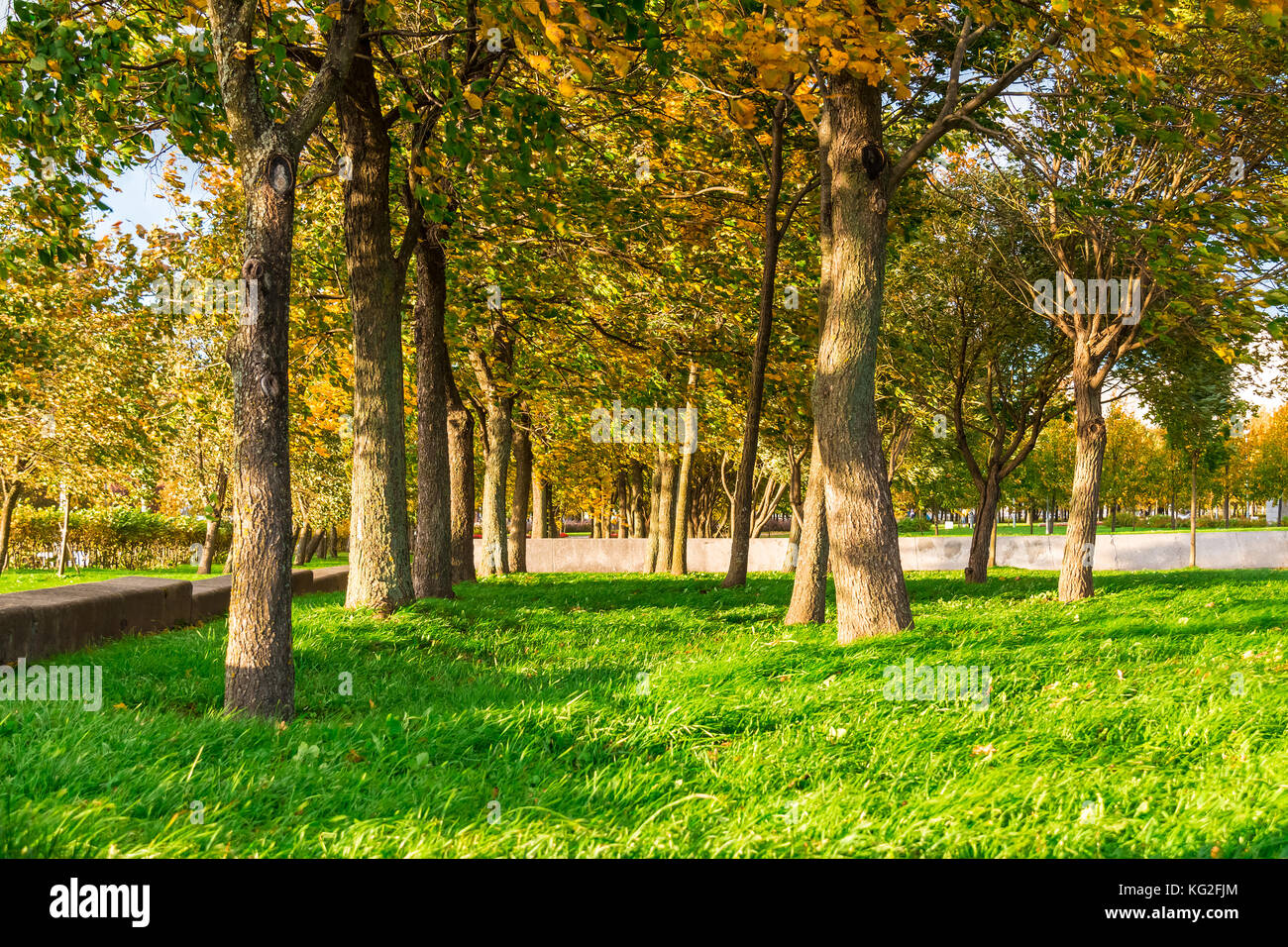 300th anniversary of the city hi-res stock photography and images - Alamy