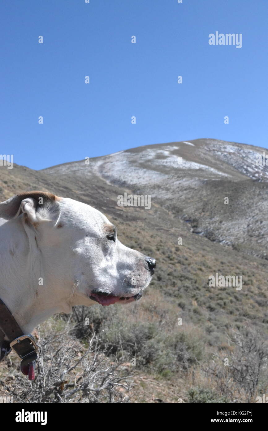 Crescent valley hi-res stock photography and images - Alamy