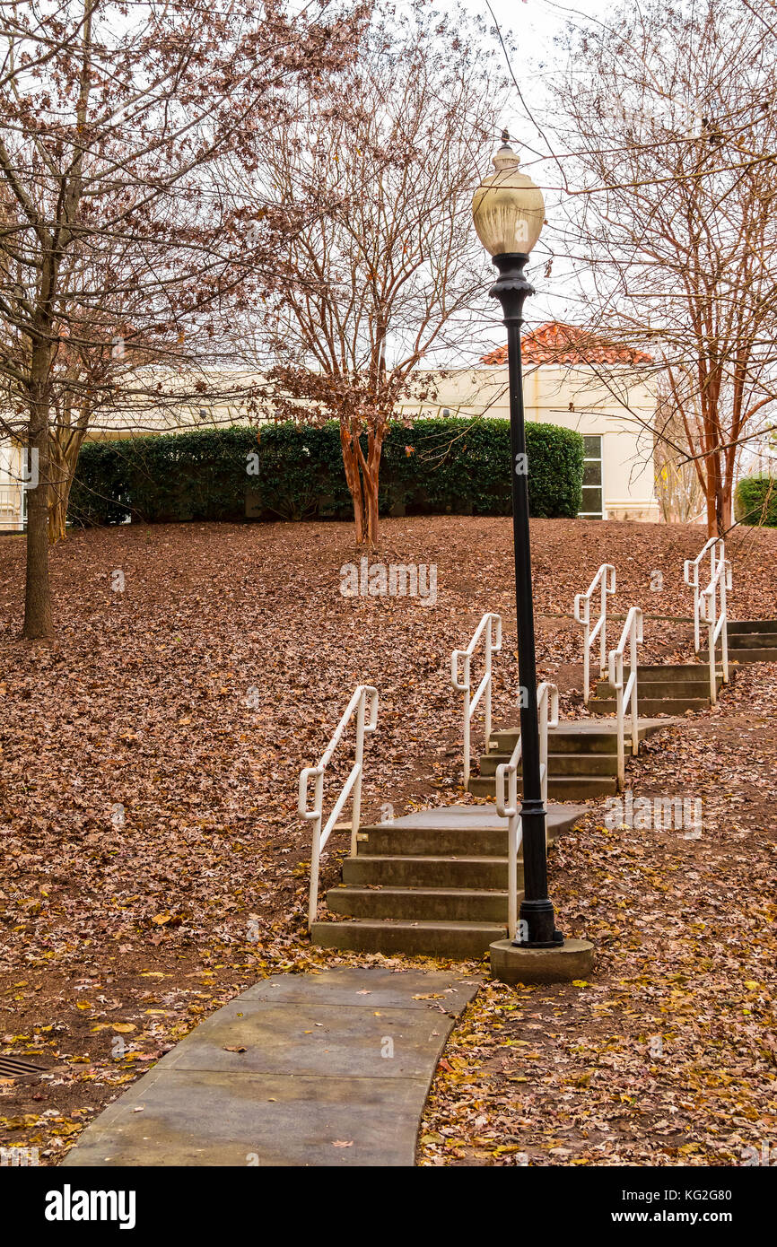 Stair, lamppost and bare trees in the autumn park with lying around dry ...
