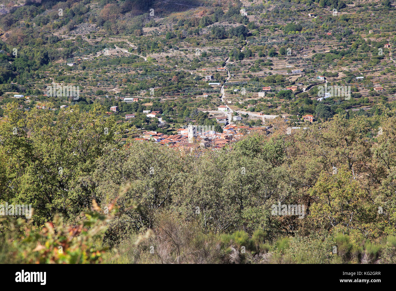 Nucleated settlement hi-res stock photography and images - Alamy