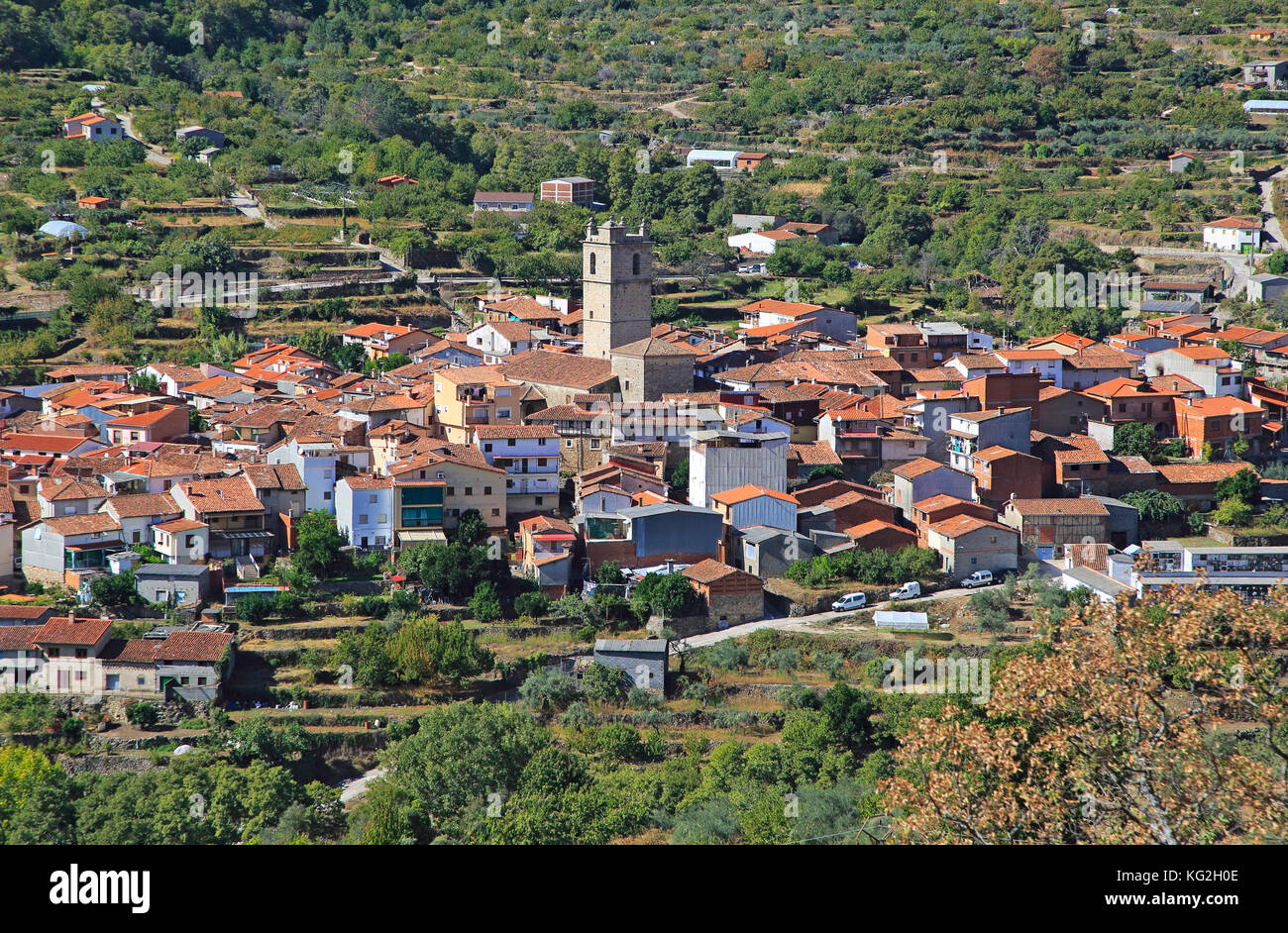 Clustered Settlement