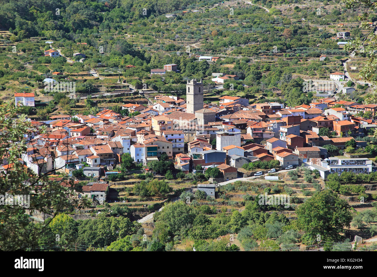 Clustered Settlement