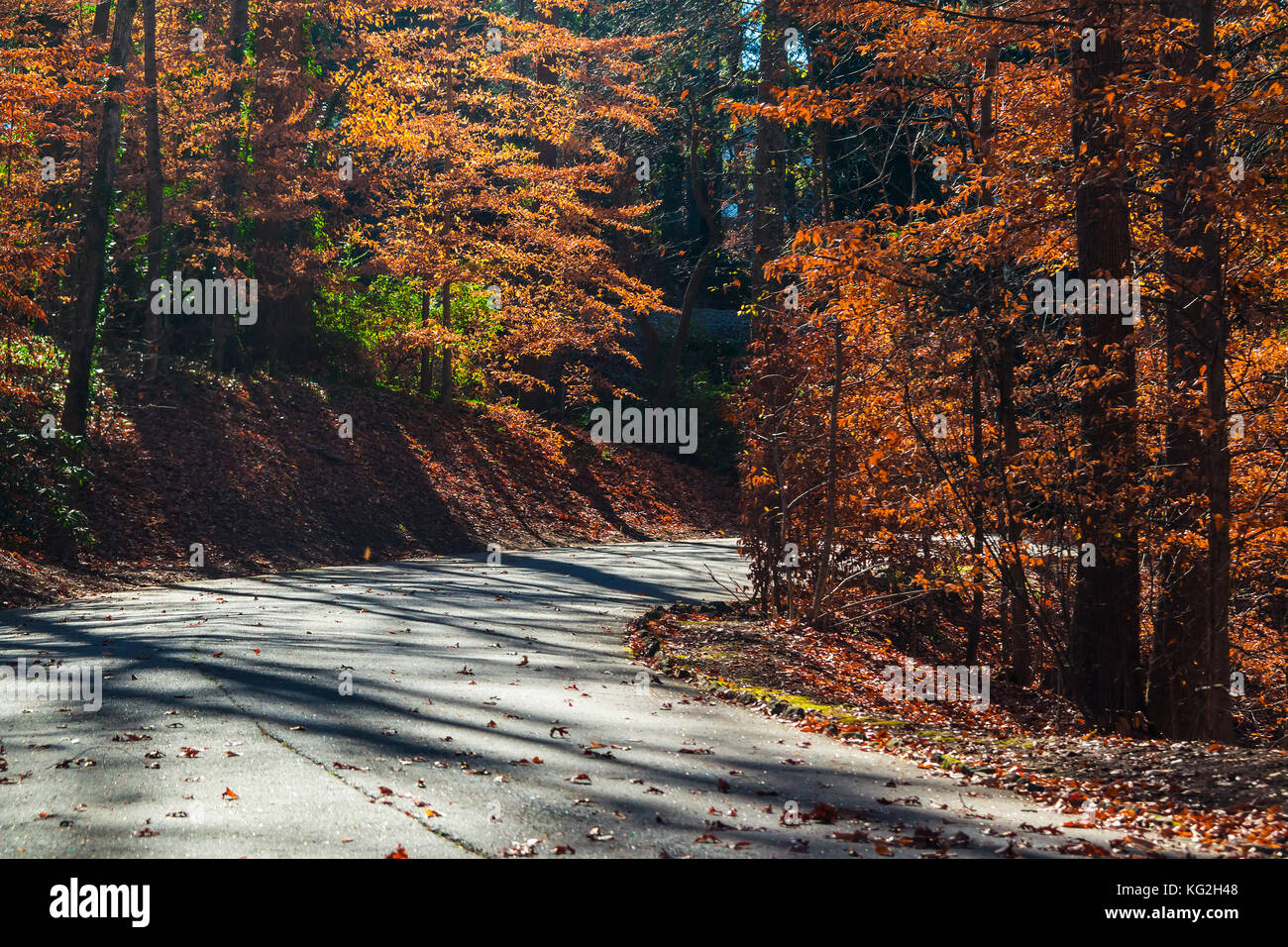Atlanta fall landscape hi-res stock photography and images - Alamy