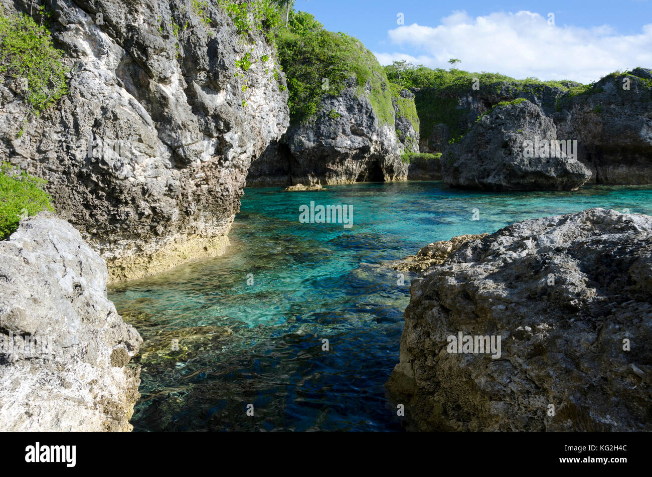Limu Pools, Niue, South Pacific, Oceania Stock Photo - Alamy