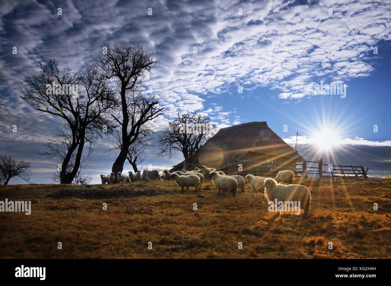 Shepherds camp landscape view from Transylvania, Romania Stock Photo ...