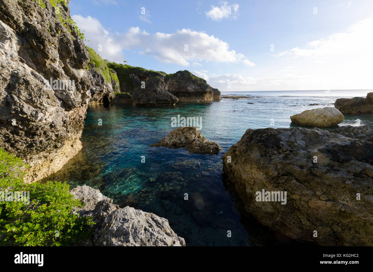 Limu hi-res stock photography and images - Alamy