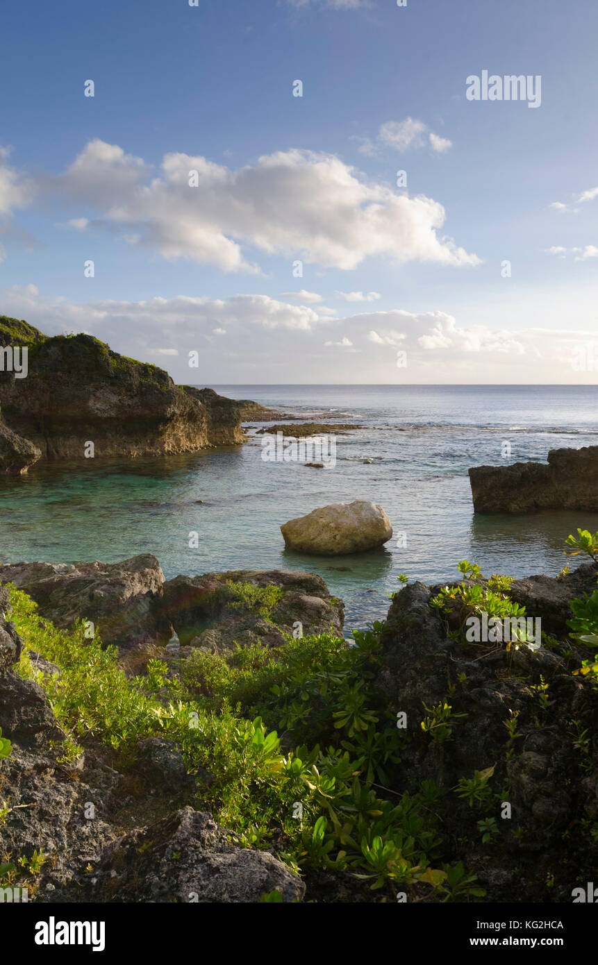 Limu Pools, Niue, South Pacific, Oceania Stock Photo - Alamy