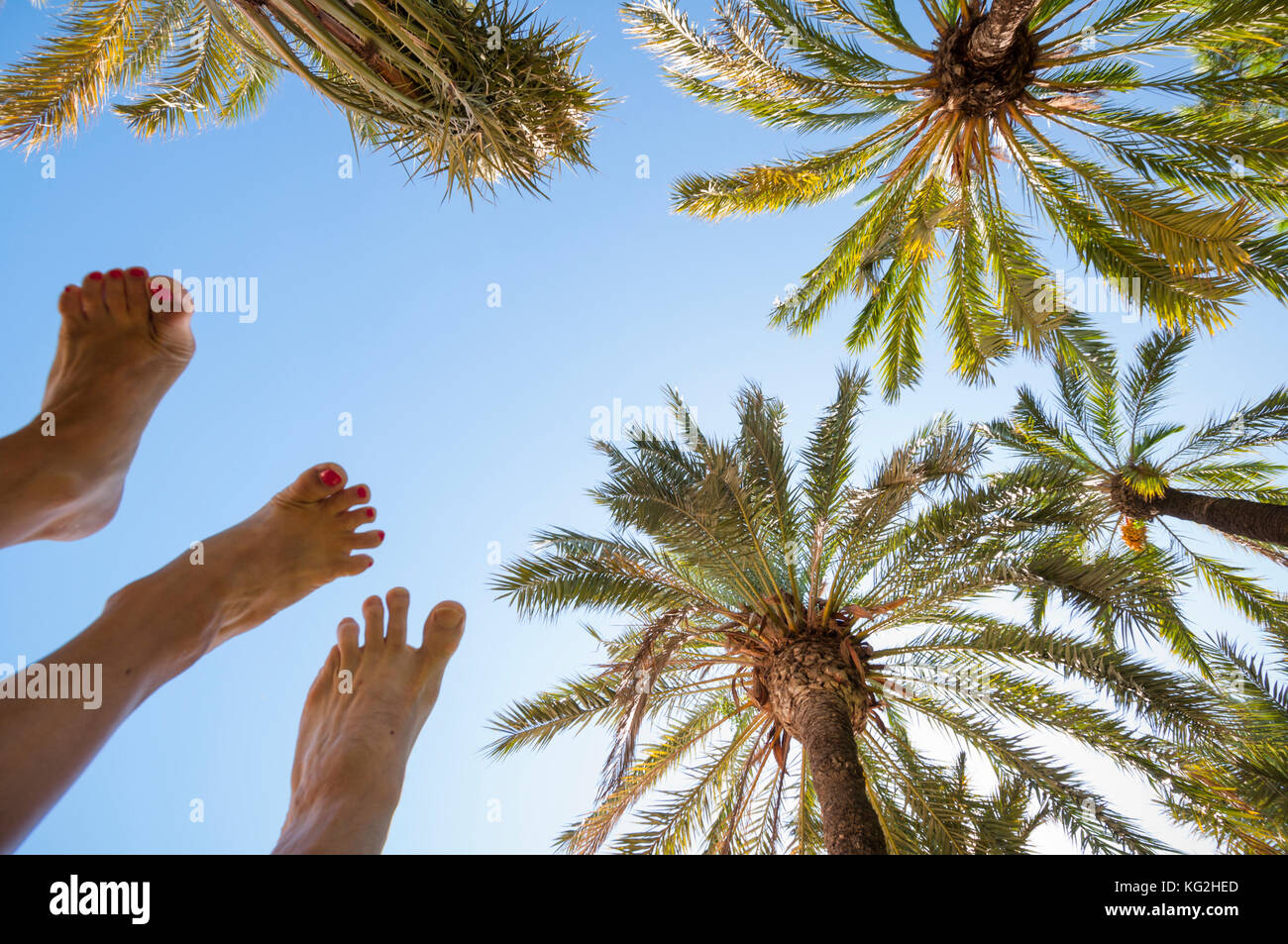 Feet under palm trees Stock Photo - Alamy