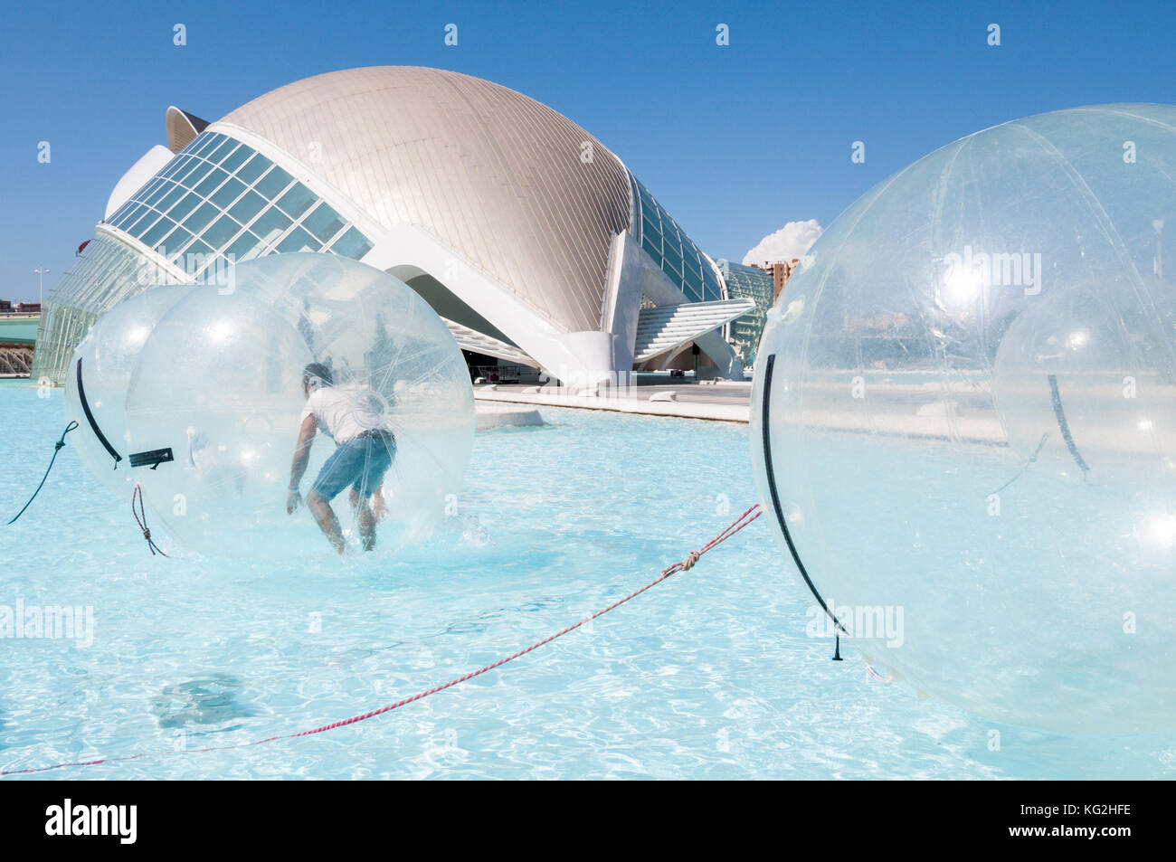 Man having fun in waterball. Oceanografic. Oceanarium in Valencia ...