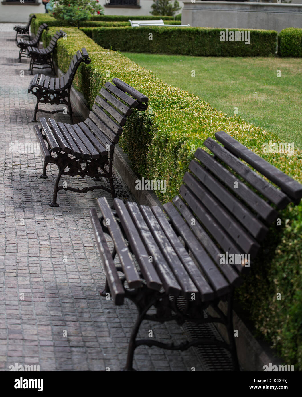 Empty benches early morning in the city park Stock Photo - Alamy