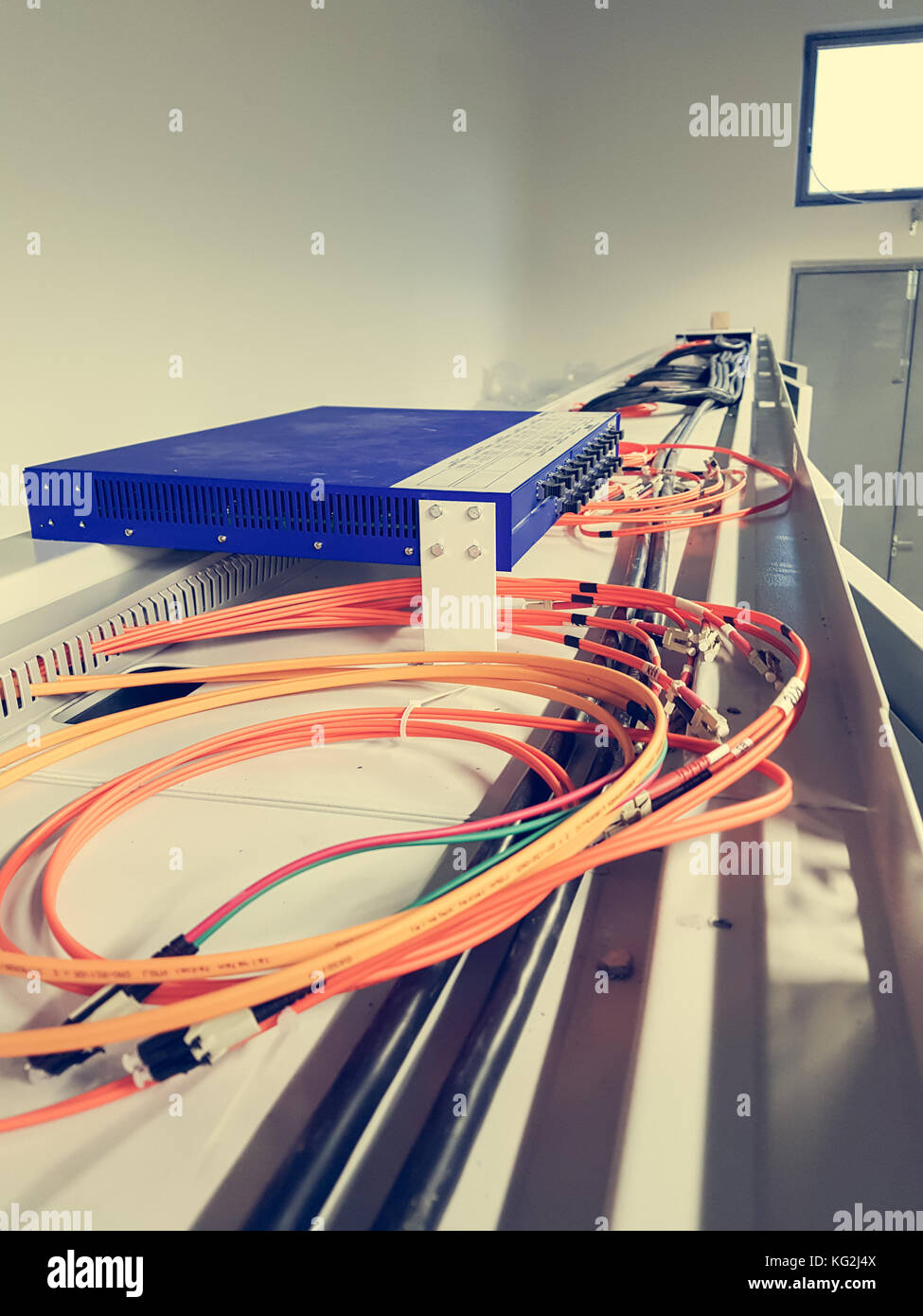 Fiber optic cables running from a switch Stock Photo - Alamy