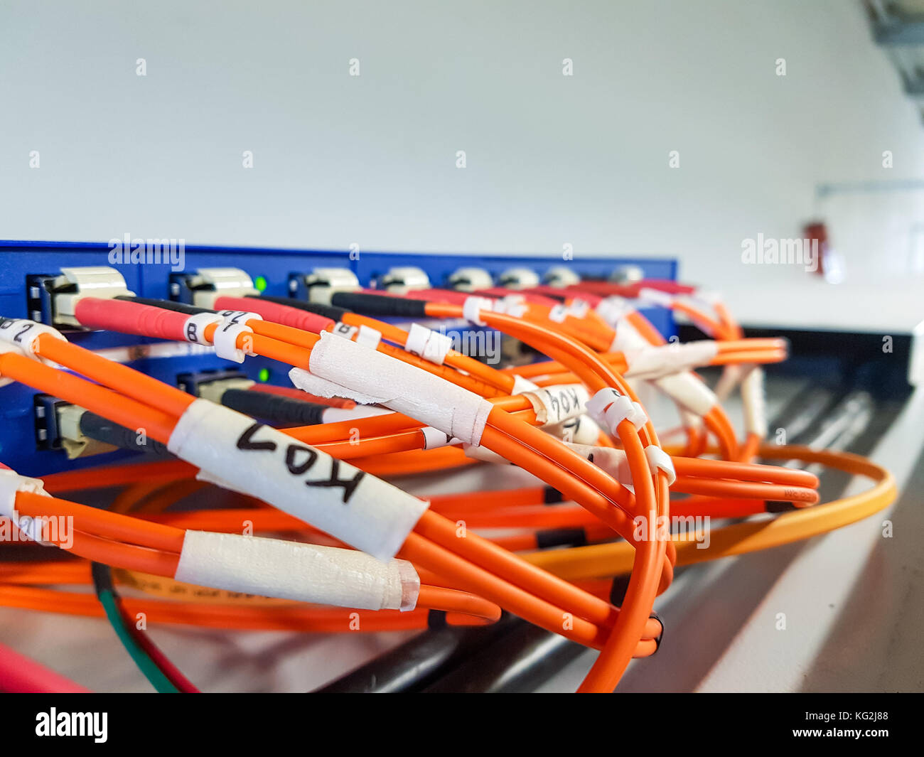 Fiber optic plant hi-res stock photography and images - Alamy