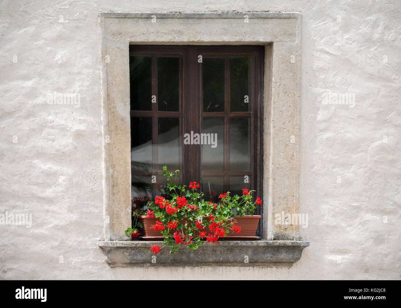 Old window with flower in the summer day Stock Photo - Alamy