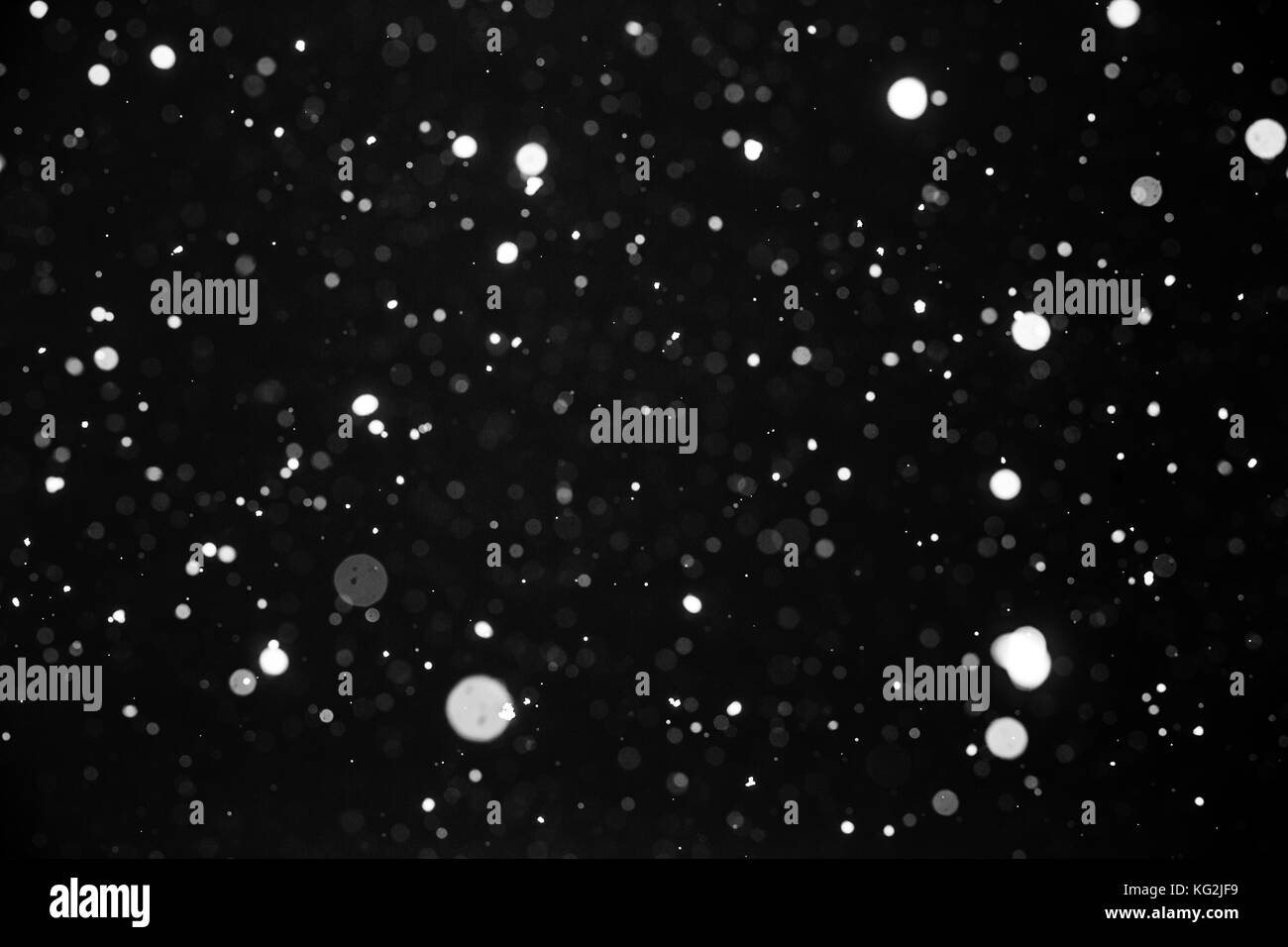 Falling snow on black background Stock Photo - Alamy
