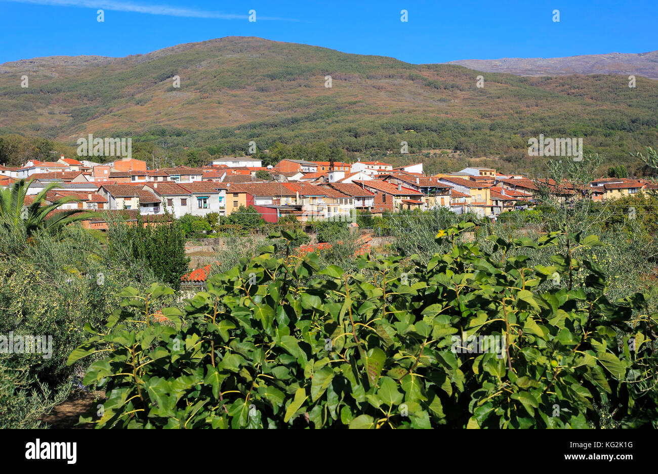 Clustered Rural Settlement