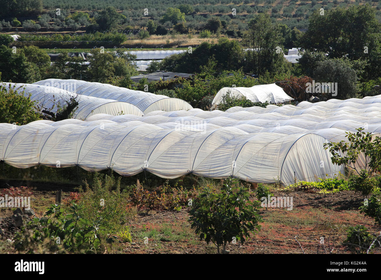 Polytunnels spain hi-res stock photography and images - Alamy