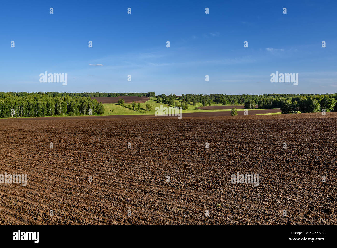 Beautiful agricultural landscape with furrows on a brown plowed field ...
