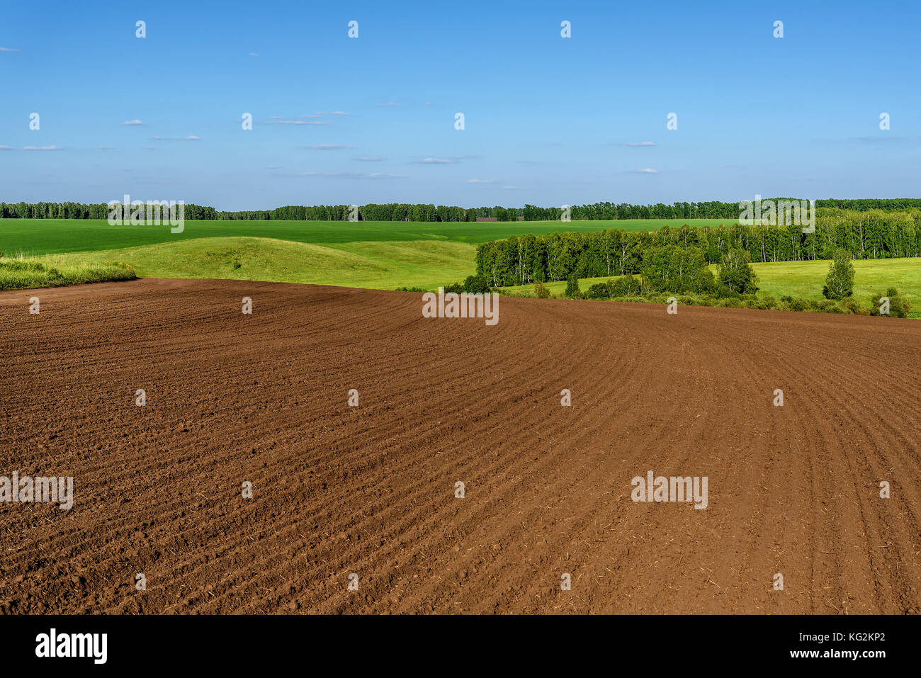 Beautiful agricultural landscape with furrows on a brown plowed field ...