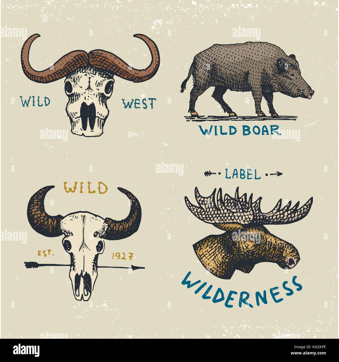 Wild Boar Skull Tattoo