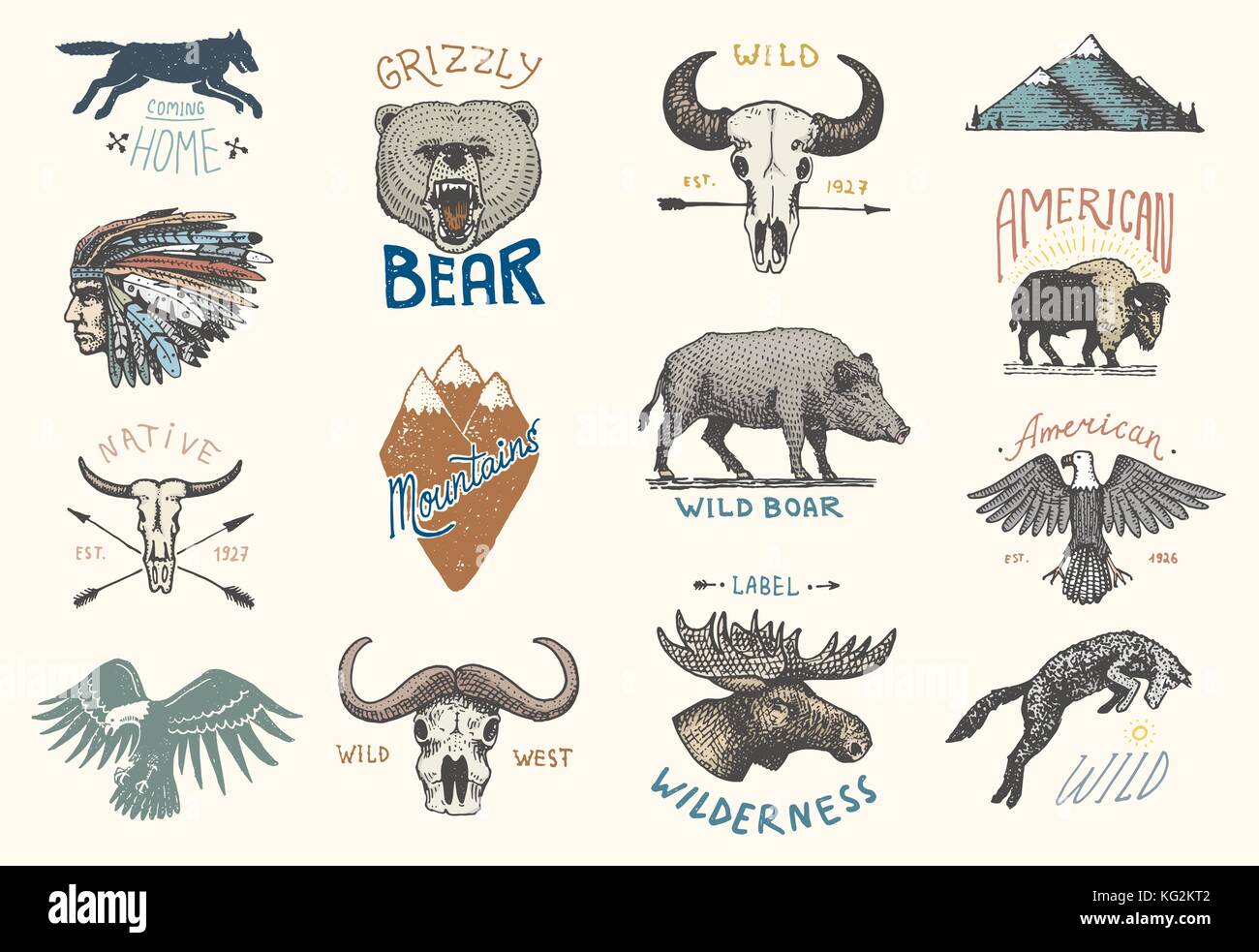 Native American Animal Symbols Bear