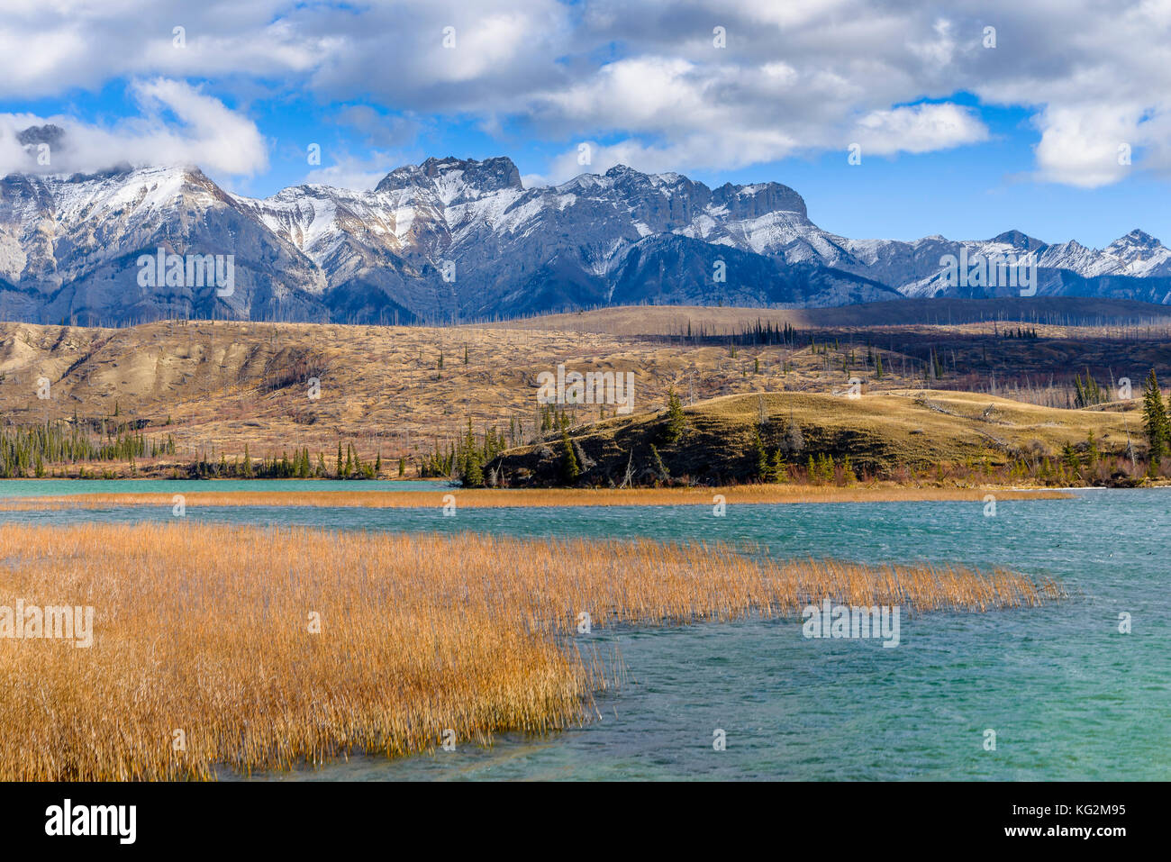 Talbot Lake Jasper High Resolution Stock Photography and Images - Alamy