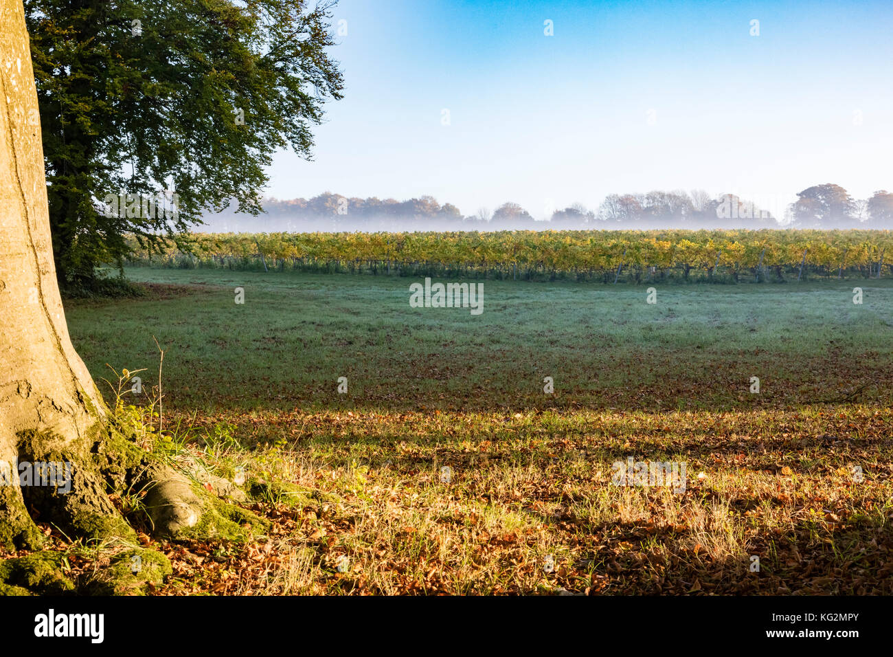 Strong low sunlight hi-res stock photography and images - Alamy