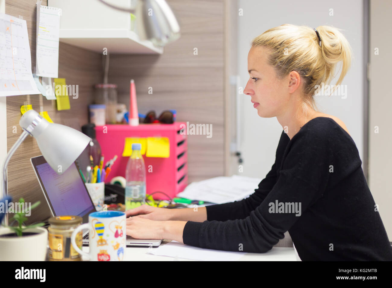 Pretty female accountant working hi-res stock photography and images ...