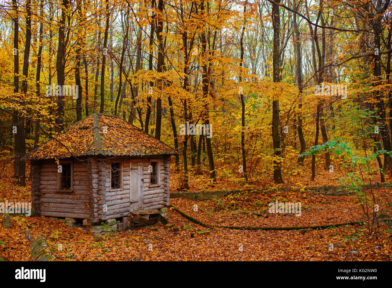 Remoted old wooden shack of ranger in autumn forest Stock Photo - Alamy