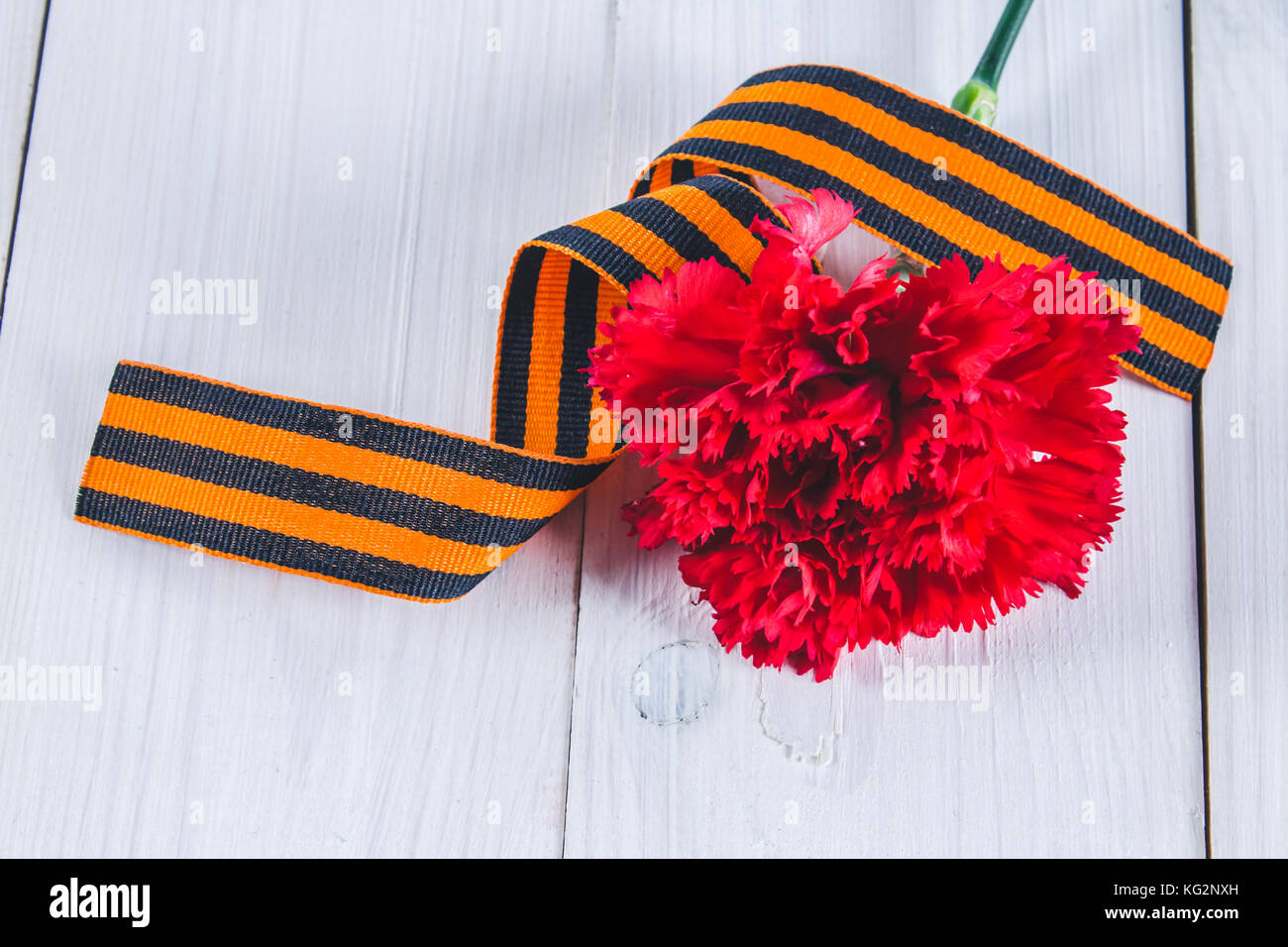 Carnation tied ribbon hi-res stock photography and images - Alamy