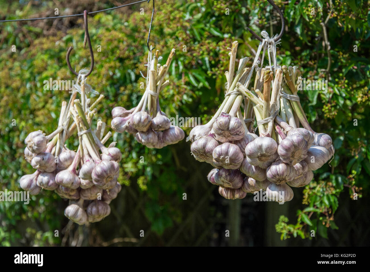 Three bundles hi-res stock photography and images - Alamy