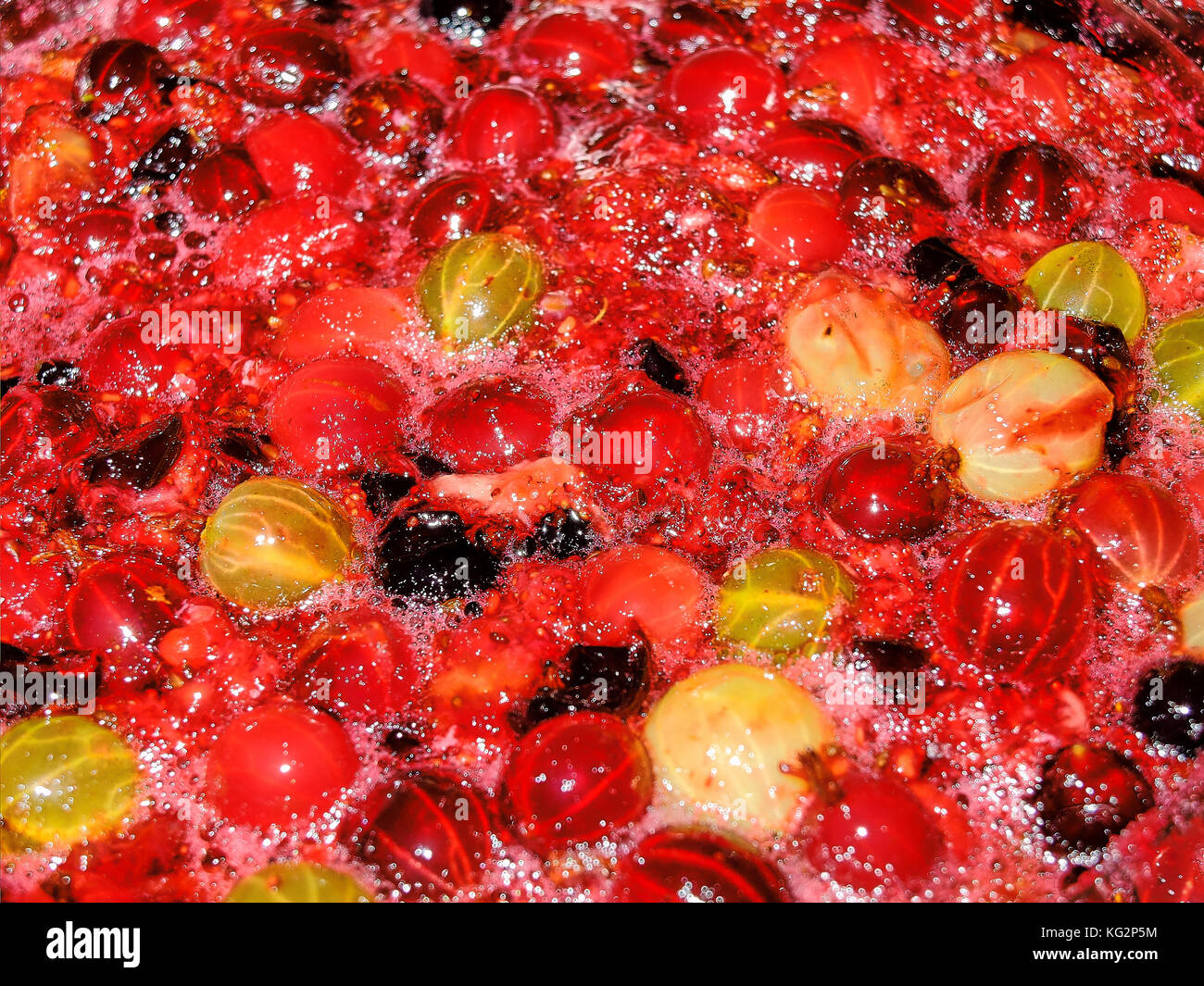 The process of cooking homemade natural gooseberry jam Stock Photo - Alamy