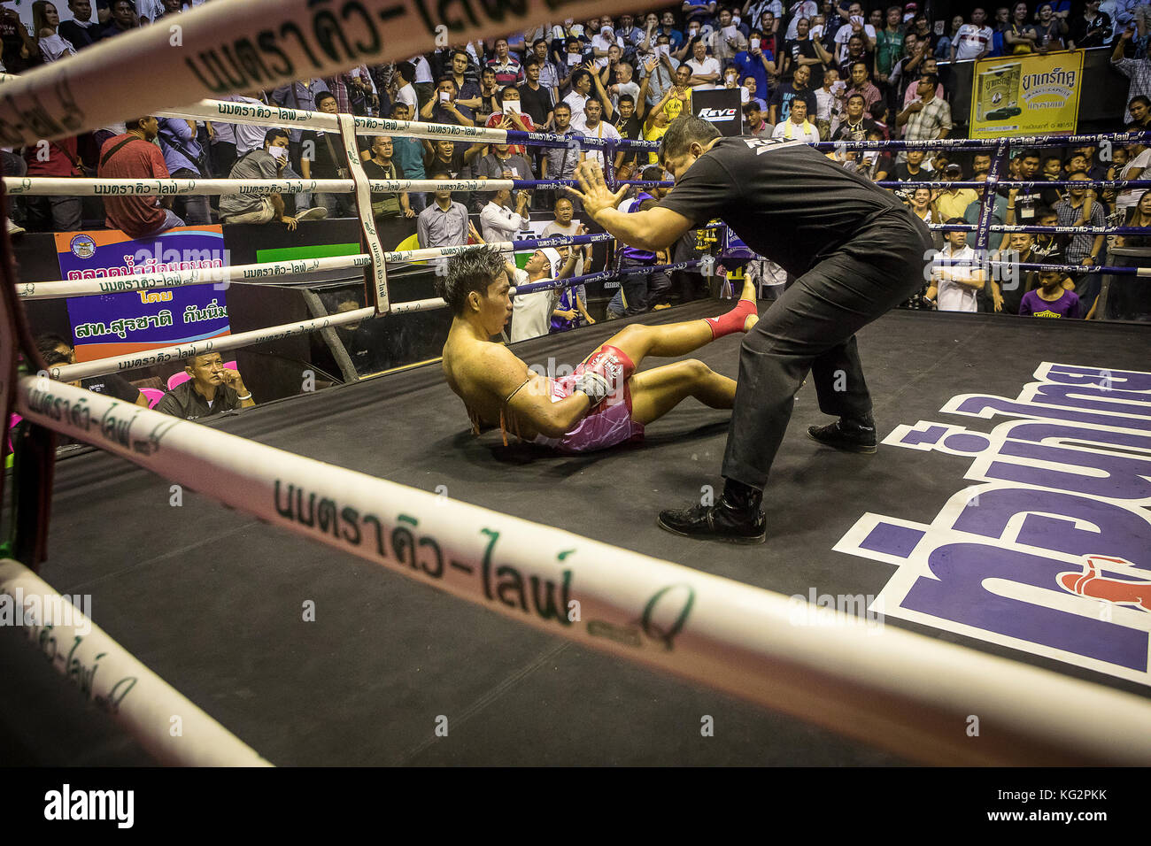 Boxer knocked out hi-res stock photography and images - Alamy
