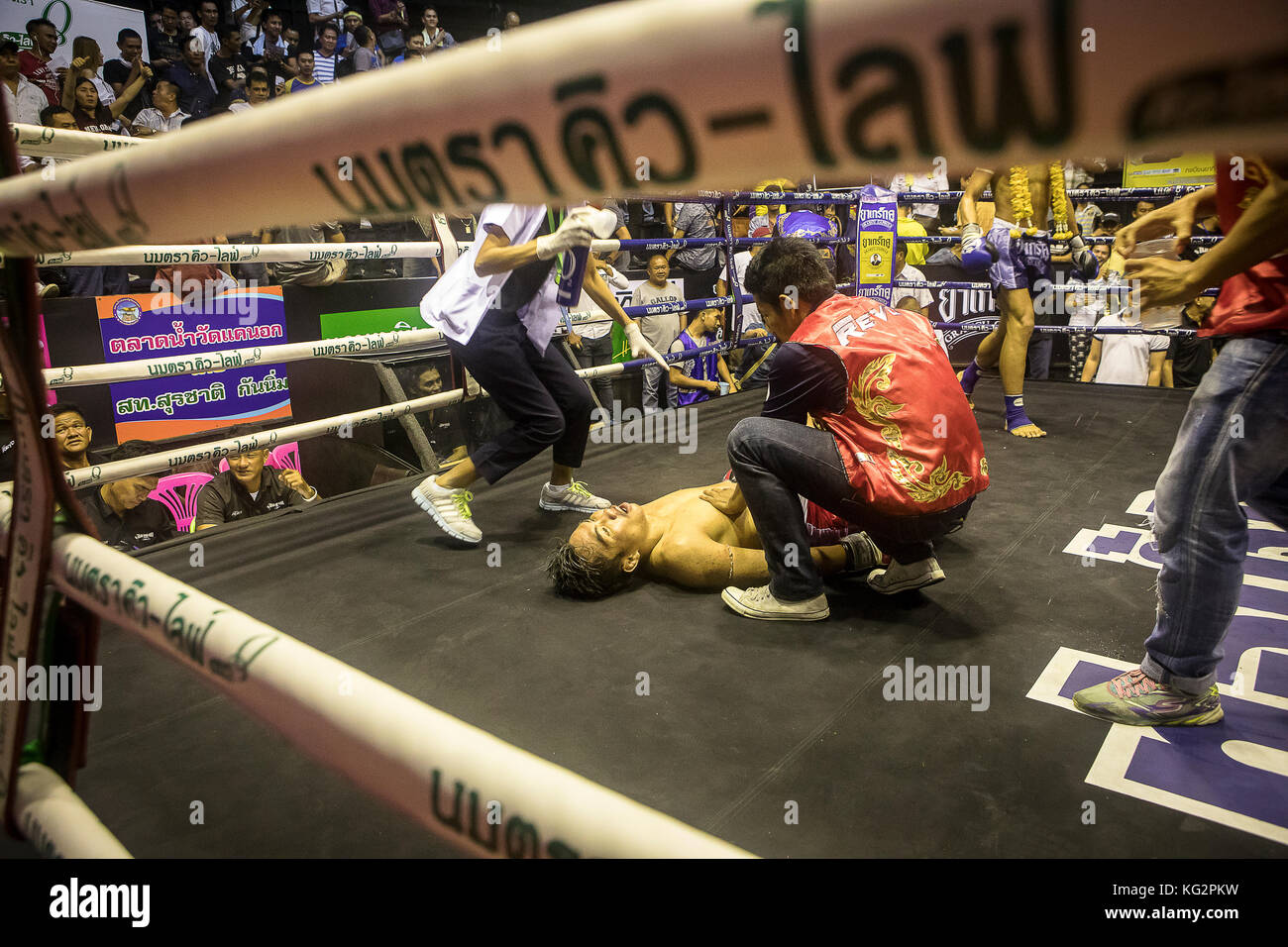 Best Muay Thai Boxer In The World at Charli Light blog