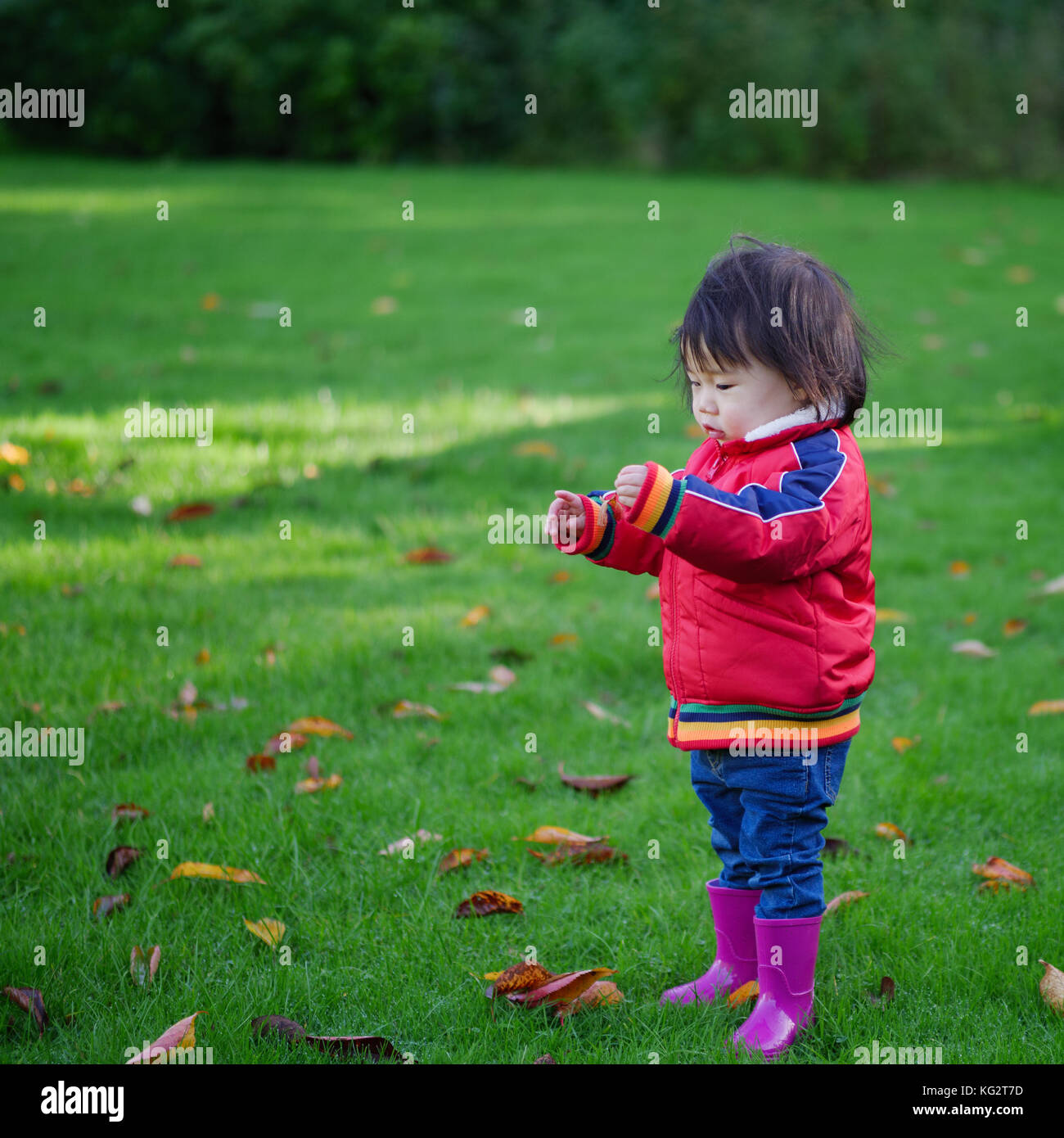 Baby girl playing at Autumn outdoor park Stock Photo - Alamy