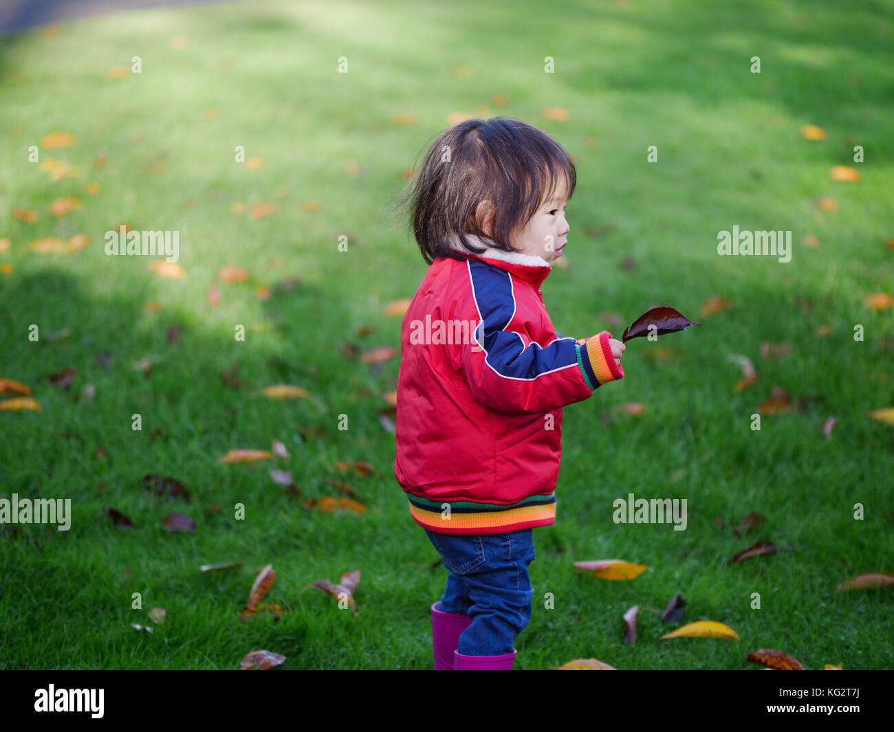 Baby girl playing at Autumn outdoor park Stock Photo - Alamy