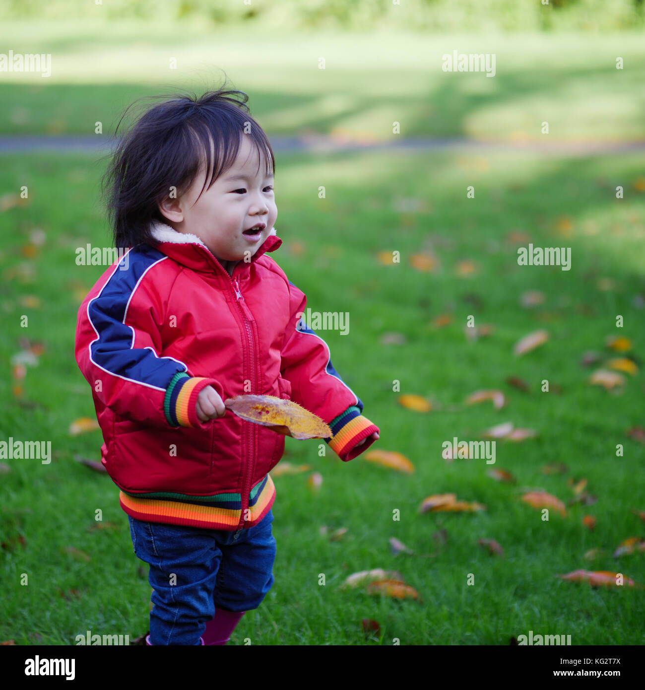 Baby girl playing at Autumn outdoor park Stock Photo - Alamy