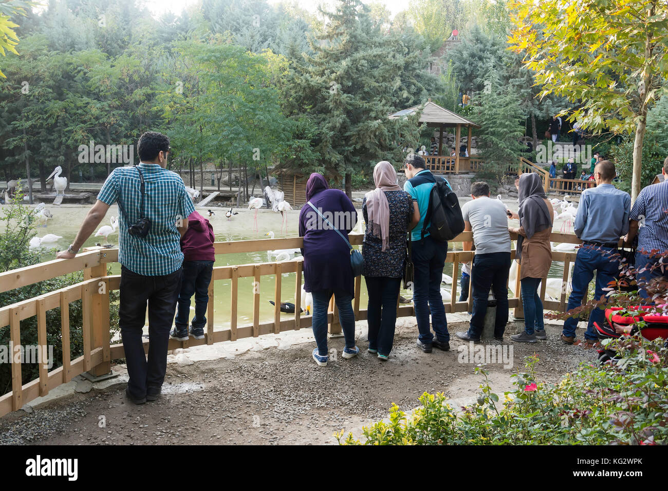 Trees in tehran province iran hi-res stock photography and images - Alamy