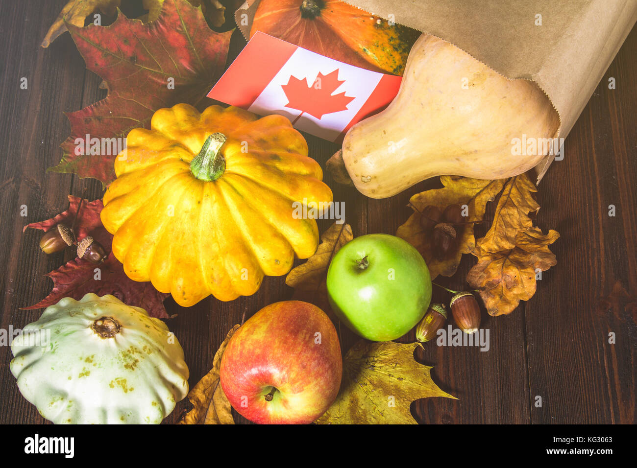 Happy Thanksgiving Day in Canada. Vegetables, pumpkins, squash, apples ...