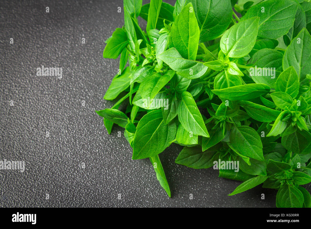 A bunch of green lemon basil on a dark gray concrete background Stock ...