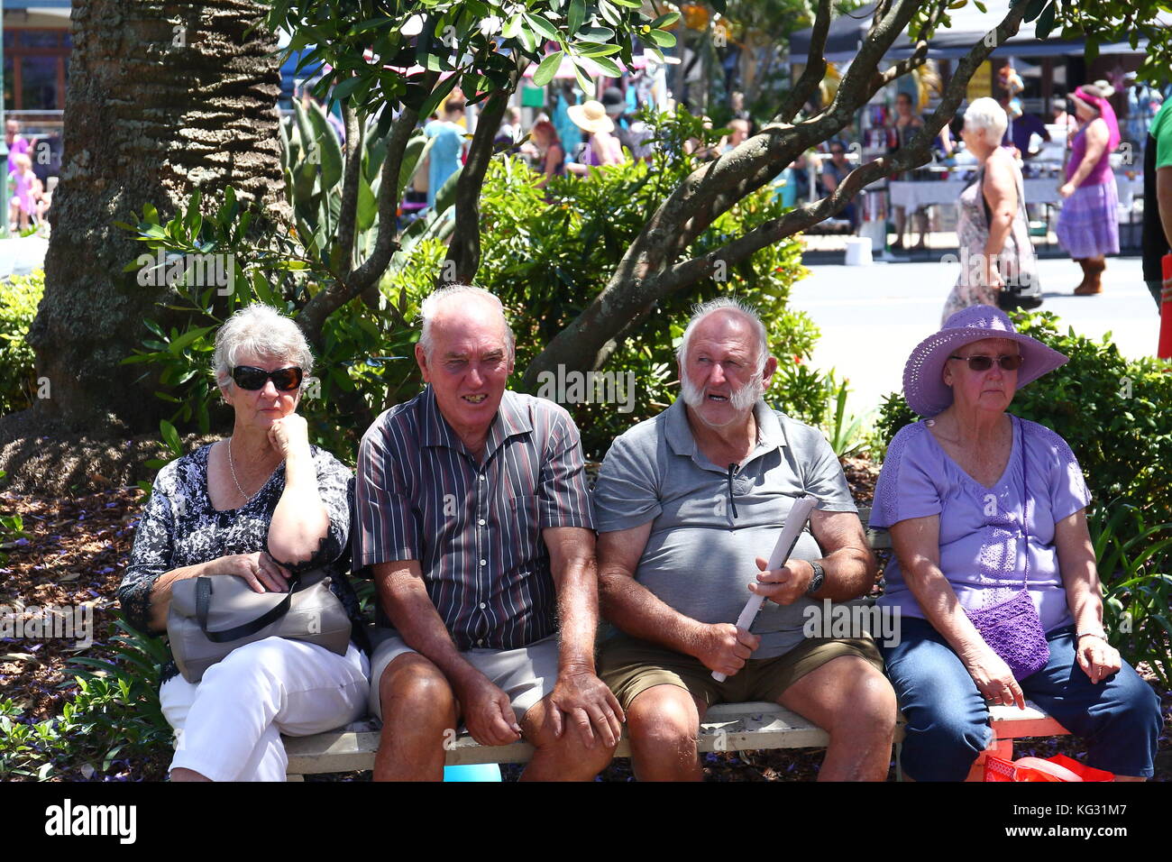 Jacaranda family hi-res stock photography and images - Alamy