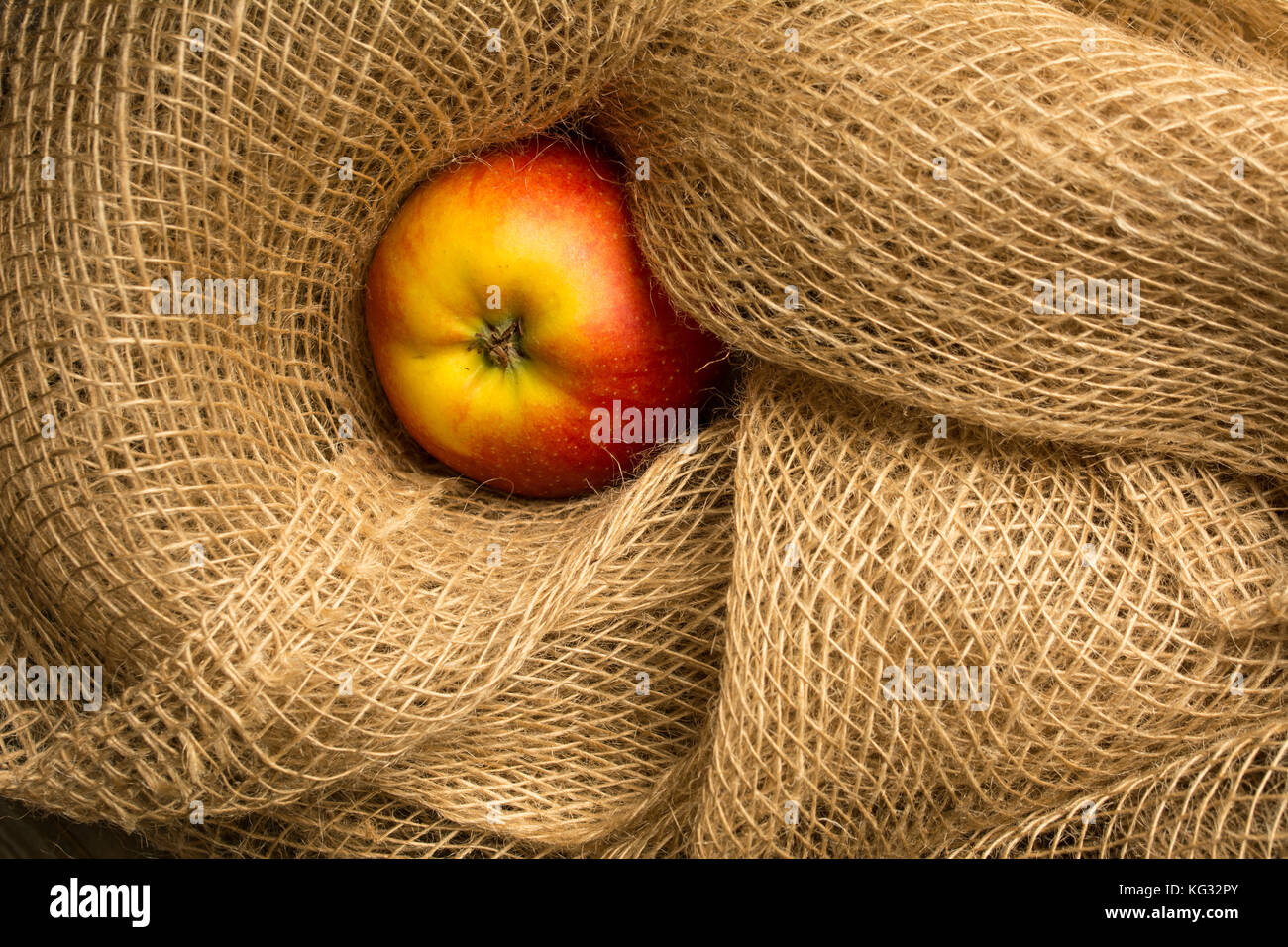 Ripe, red and yellow apple wrapped in hessian netting Stock Photo - Alamy