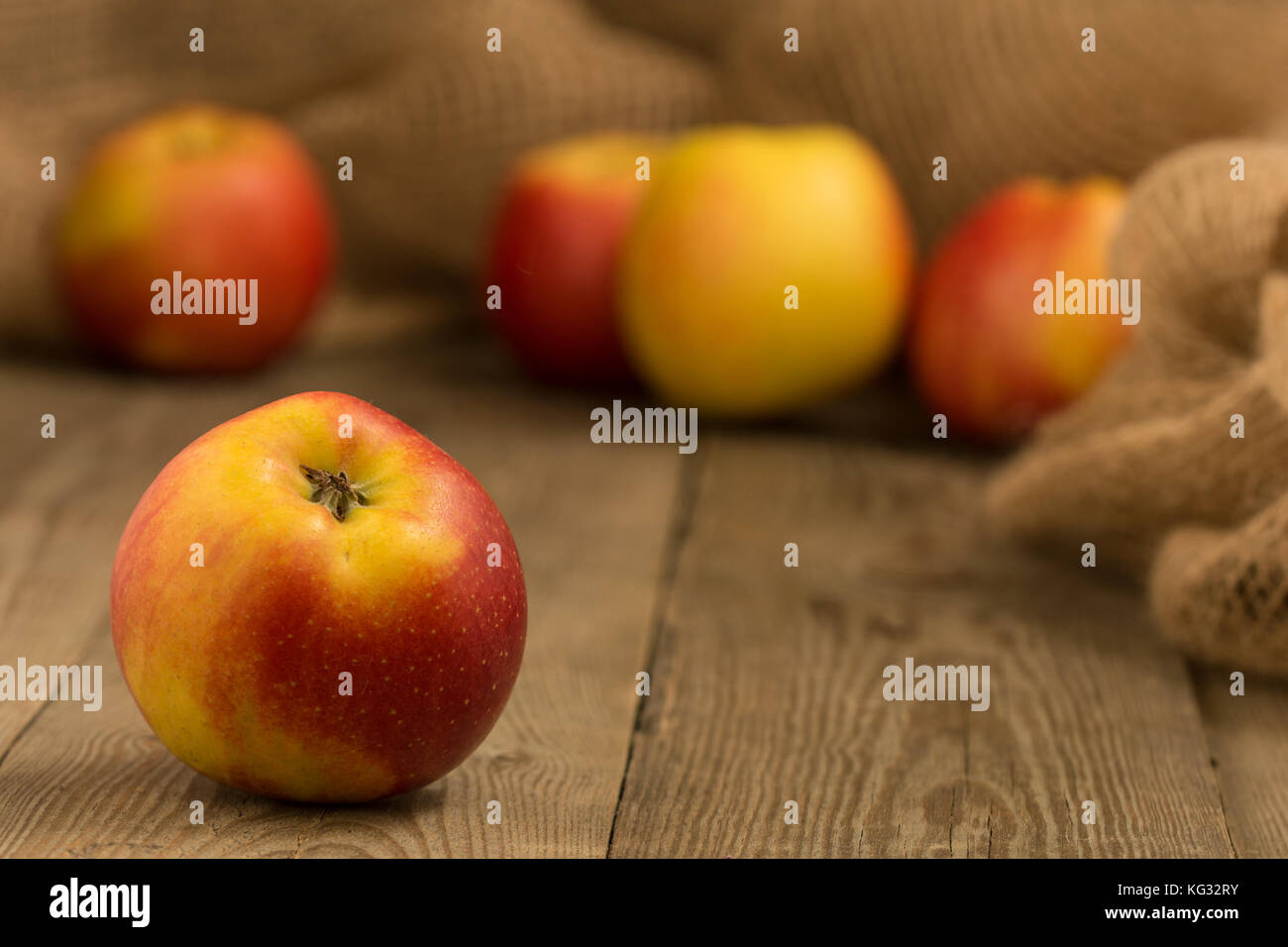 Close-up of a red and yellow apple with four more apples and hessian in ...